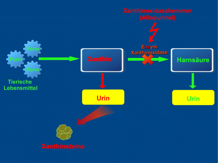 FAQ - Parasitus Ex e.V.